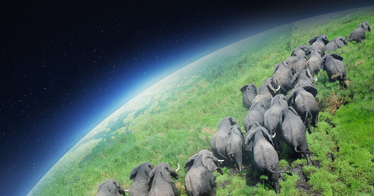 Planet Earth Show (2006): Where to watch and stream online | PlayPilot